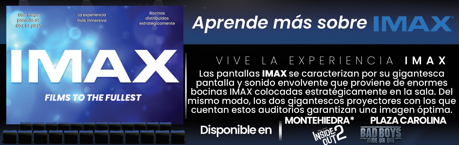 Banner IMAX 6_13